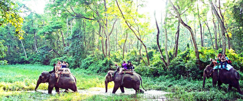Chitwan – Travel Bureau of Nepal